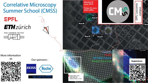 Seminar and Event Calendar ‒ Bioengineering ‐ EPFL