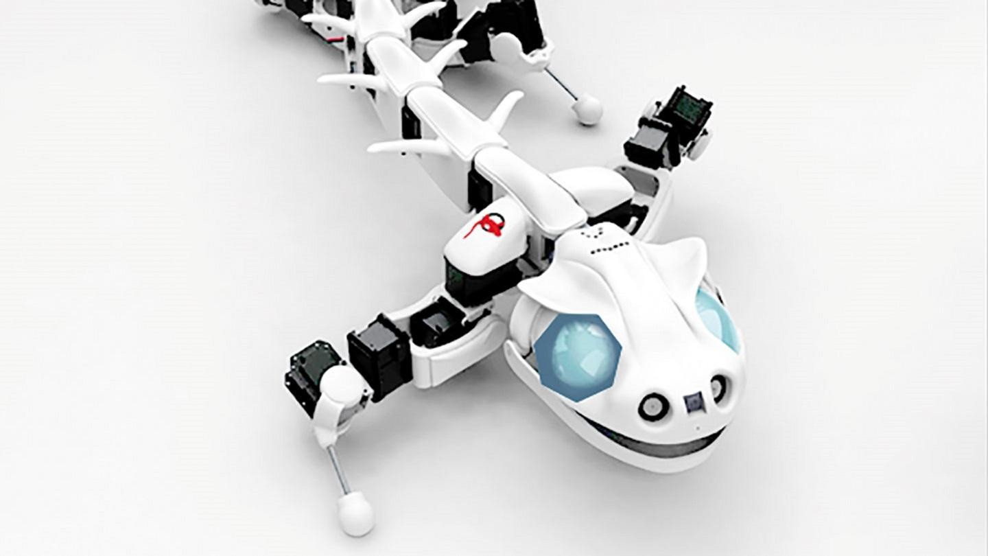 Avian-inspired designs for multi-modal robots - EPFL Avian-inspired designs for multi-modal robots - EPFL