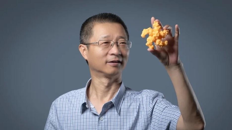 A unified mechanism of NLR-mediated immune signaling in plants: from ...